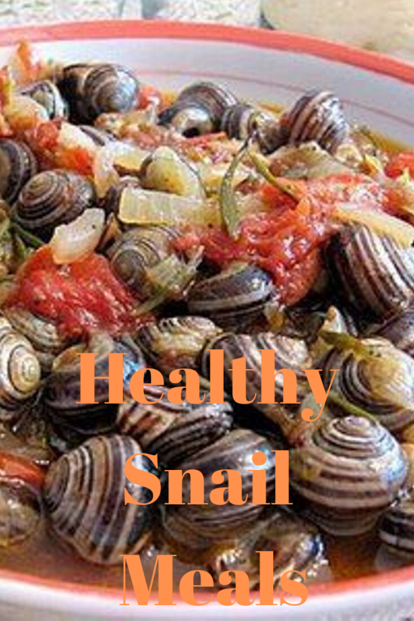 Edible Snakes: How to Know Which Ones You Can Eat – Hiking Tips and Advice